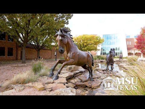 Study in USA at Midwestern State University (MSU Texas) | ApplyBoard