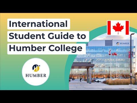 Study Advertising & Marketing in Canada | Humber College