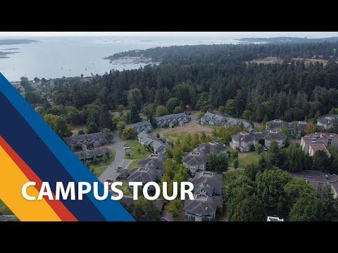 MBA in Sustainable Innovation | Weekend Classes | UVic