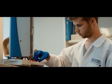 Bachelor of Computer Science - Mobile Software Engineering | Algoma University