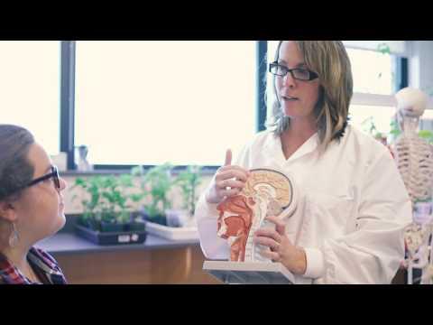 Bachelor of Science in Computer Engineering Technology | SUNY Poly